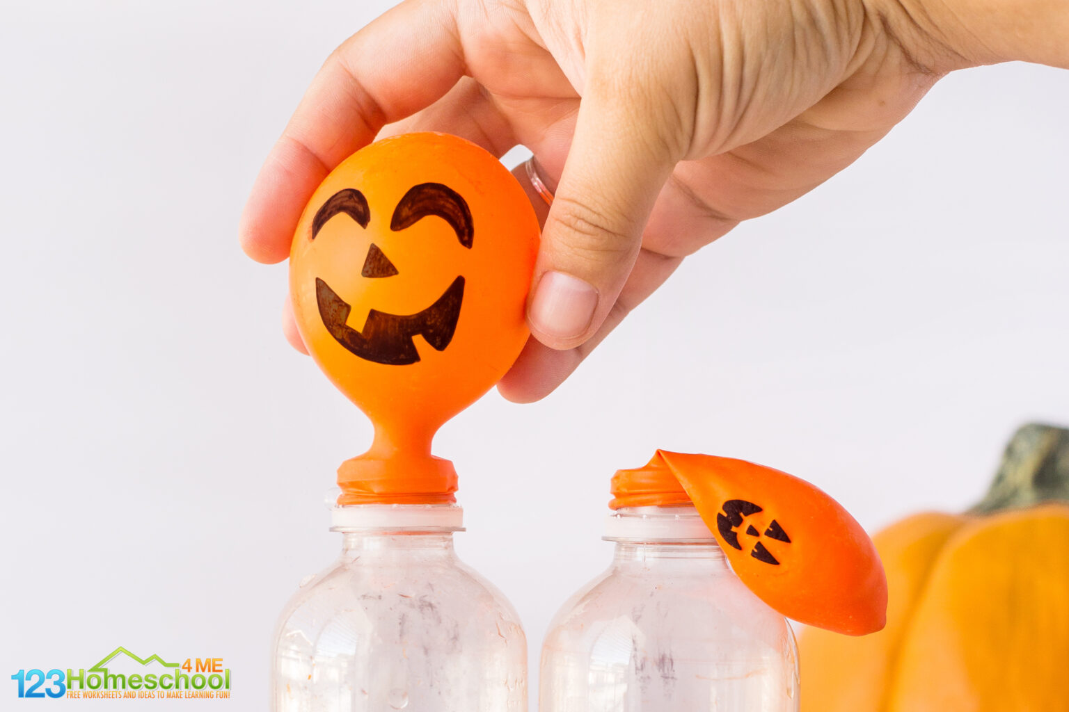 🎃 Quickly Growing Pumpkin Science Experiment