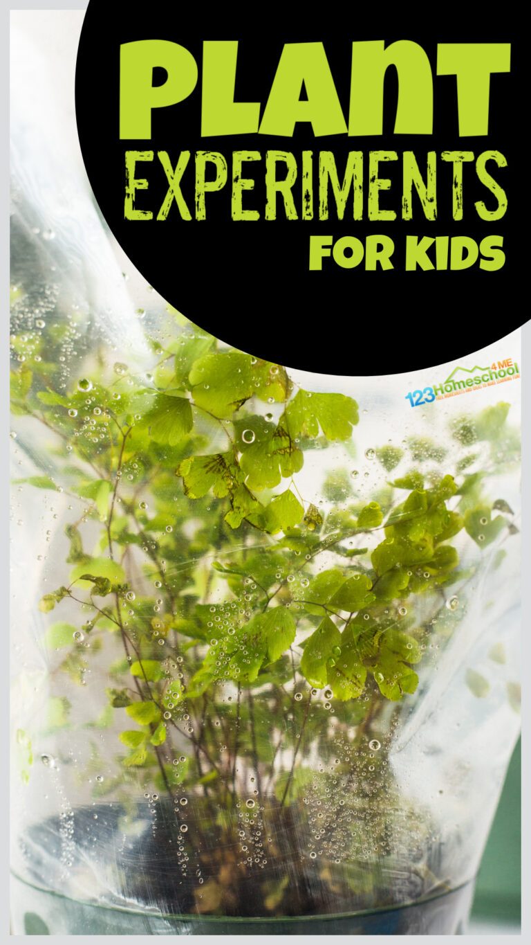 FREE Printable Garden Journal for Kids
