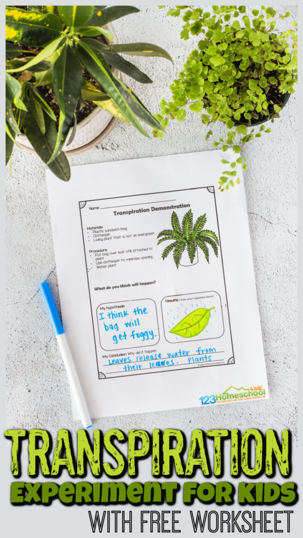 🌱 Plants for Kids - Botany Experiments, Activities, and Worksheets