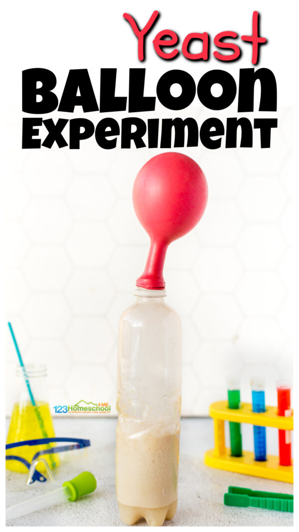 🎈 Yeast Balloon Experiment for Kids with FREE Worksheet