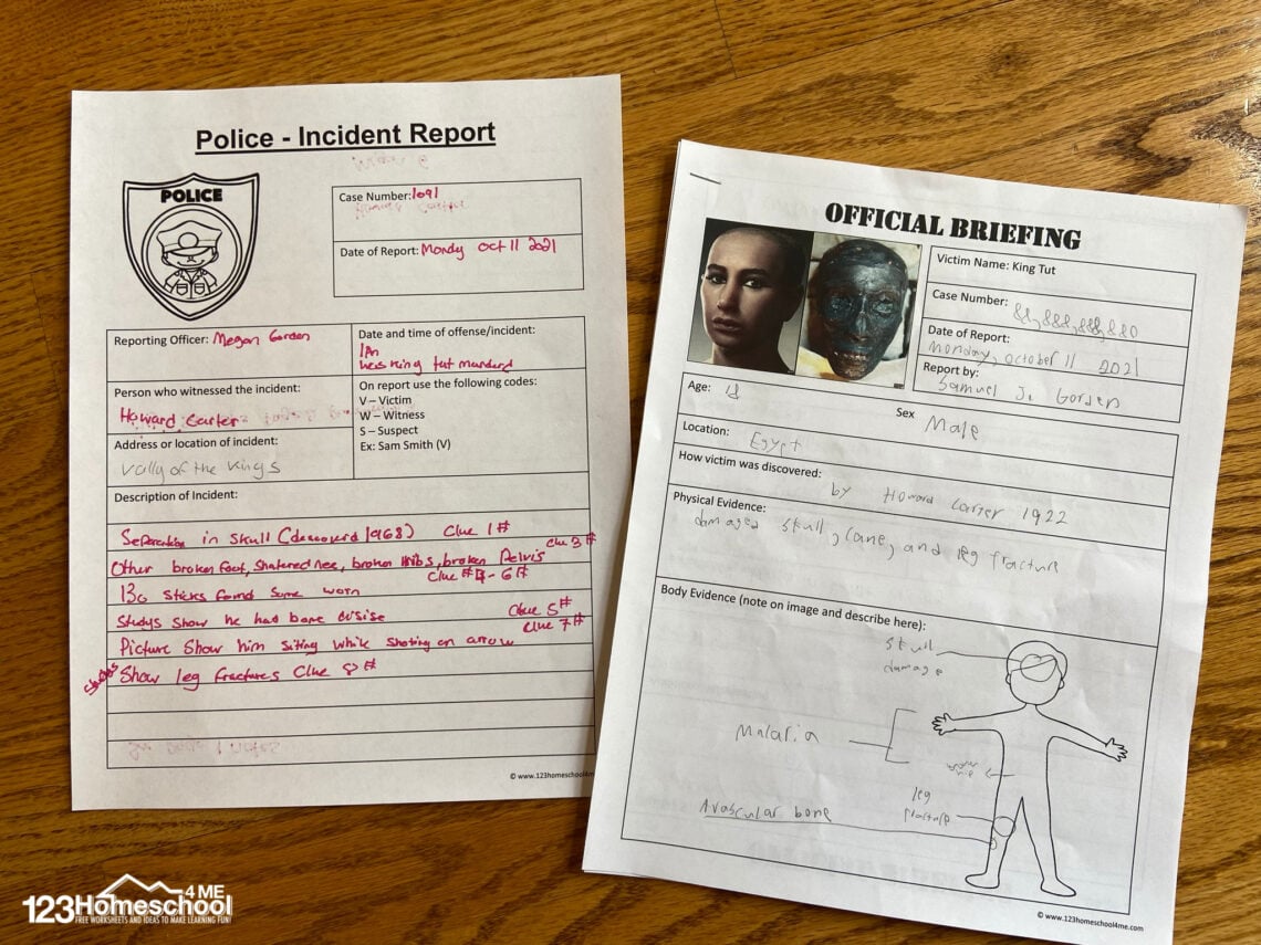 🔍Was King Tut Murdered? CSI Investigation Activity for Kids