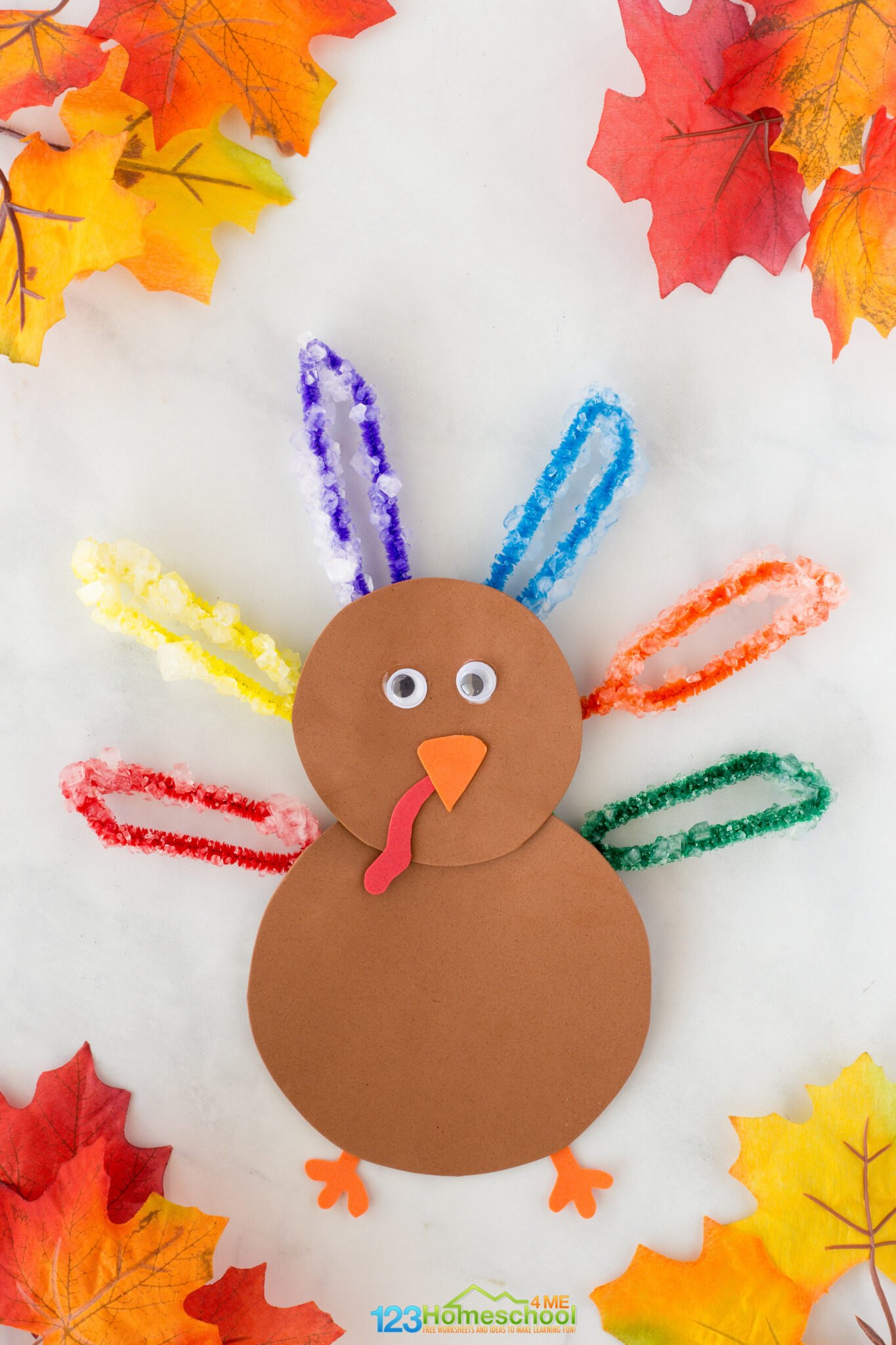 🦃 Grow Your Own Crystal Turkey Science Project for November