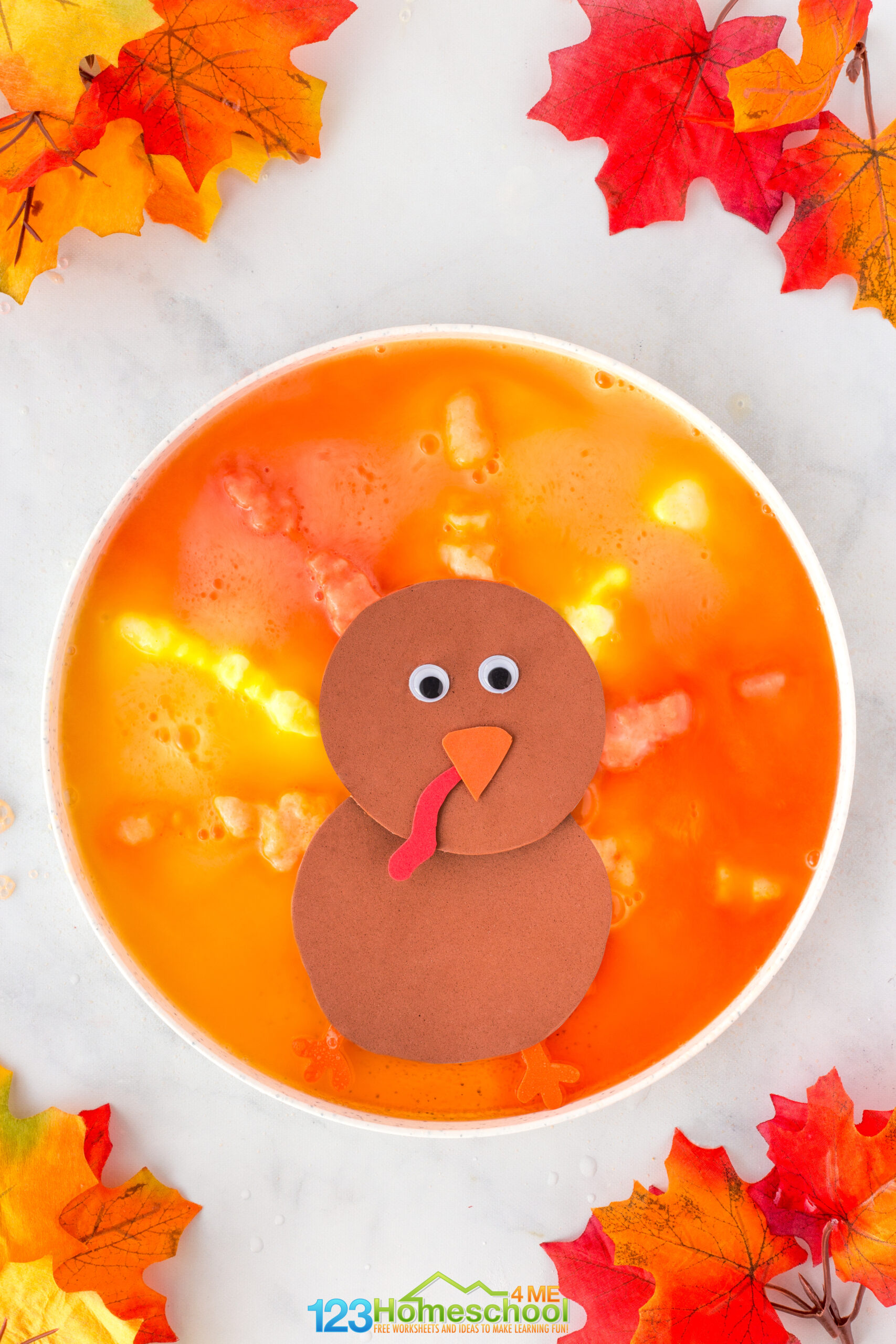 🦃 Simple Melting Turkey Thanskgiving Science Experiment for November