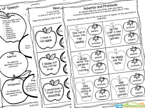 FREE Parts Of Speech Exercises Worksheets With Answers PDF free-parts-of-speech-exercises-worksheets-with-answers-pdf