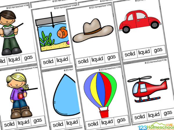 FREE Printable States of Matter Clip Cards Activity