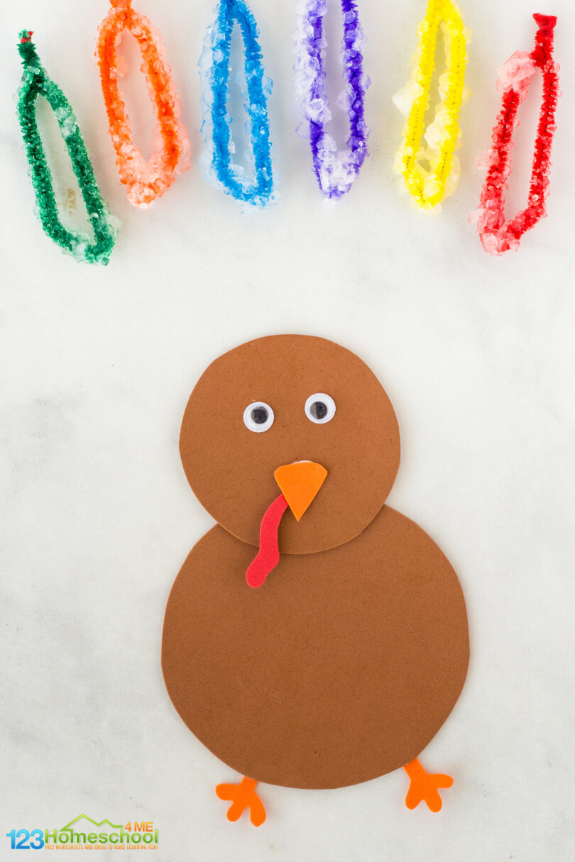 🦃 Grow Your Own Crystal Turkey Science Project for November