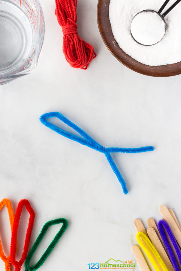 🦃 Grow Your Own Crystal Turkey Science Project for November