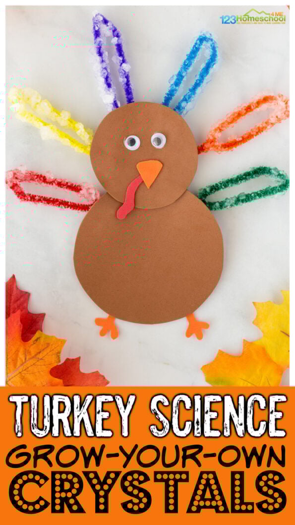 🦃 Grow Your Own Crystal Turkey Science Project for November