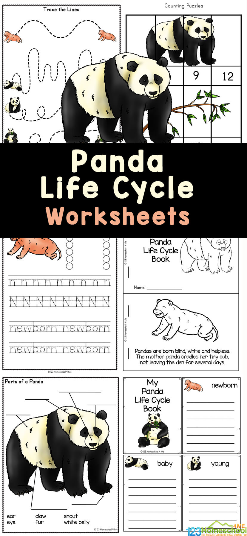 🐼 FREE Printable Panda Life Cycle Worksheets