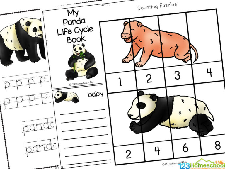 🐼 FREE Printable Panda Life Cycle Worksheets
