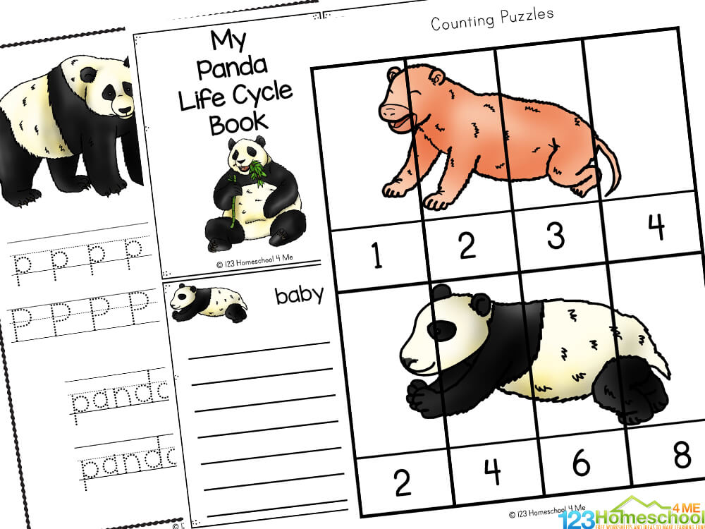 🐼 FREE Printable Panda Life Cycle Worksheets