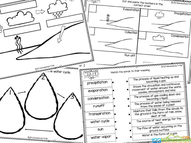 💧 FREE Printable Water Cycle Worksheets for Kids