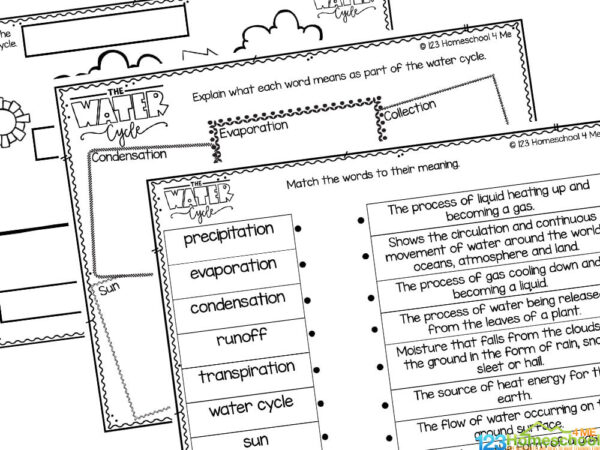 💧 FREE Printable Water Cycle Worksheets for Kids