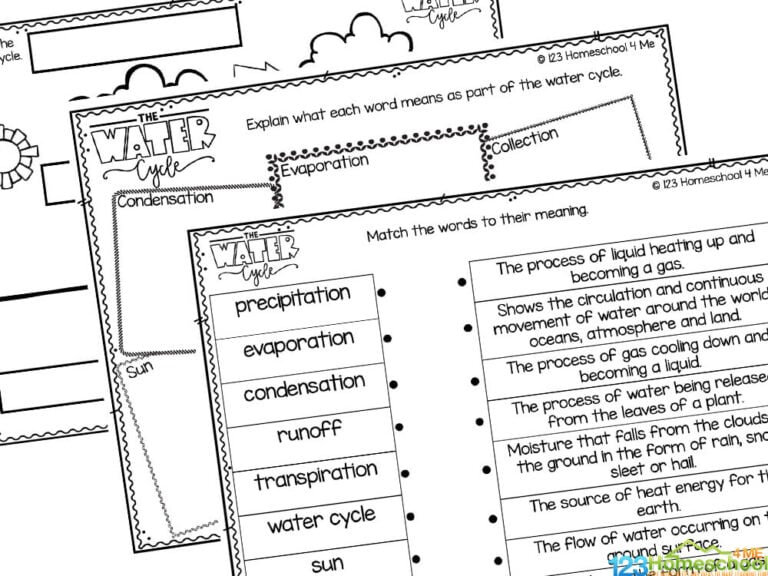 💧 FREE Printable Water Cycle Worksheets for Kids