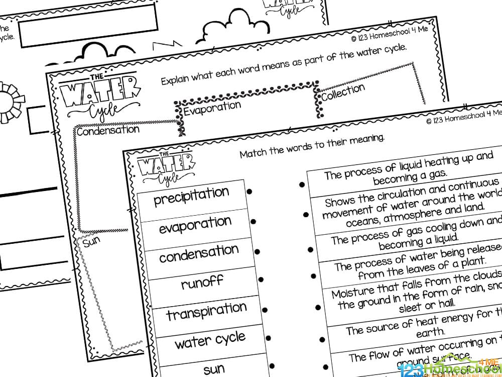 💧 FREE Printable Water Cycle Worksheets for Kids