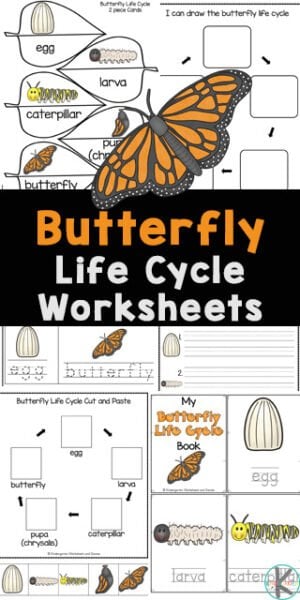 🦋 FREE FREE Printable Butterfly Life Cycle Themed Worksheets