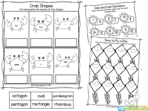 🦀 FREE Summer Crab Math Worksheets for Preschool and Kindergarten
