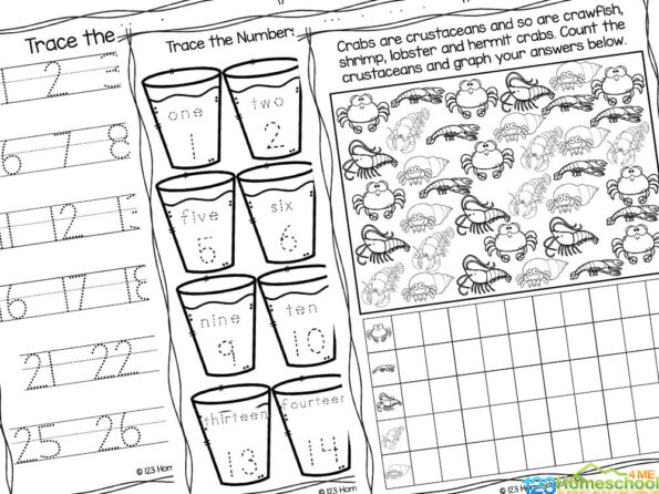 🦀 FREE Summer Crab Math Worksheets for Preschool and Kindergarten