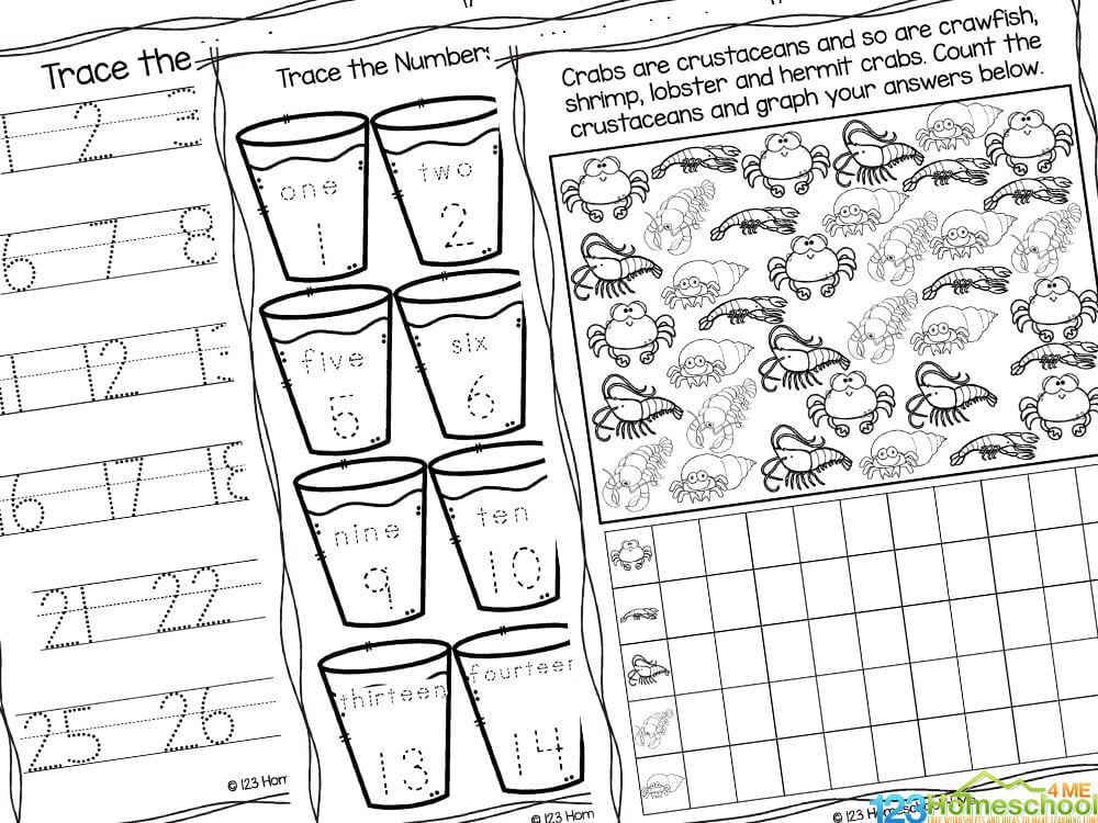 🦀 FREE Summer Crab Math Worksheets for Preschool and Kindergarten