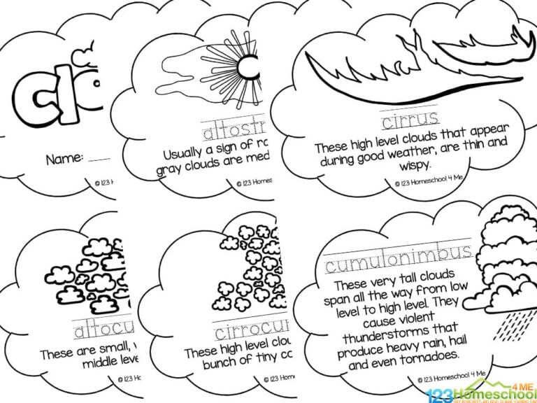 ☁ FREE Printable Types of Clouds for Kids Mini Book