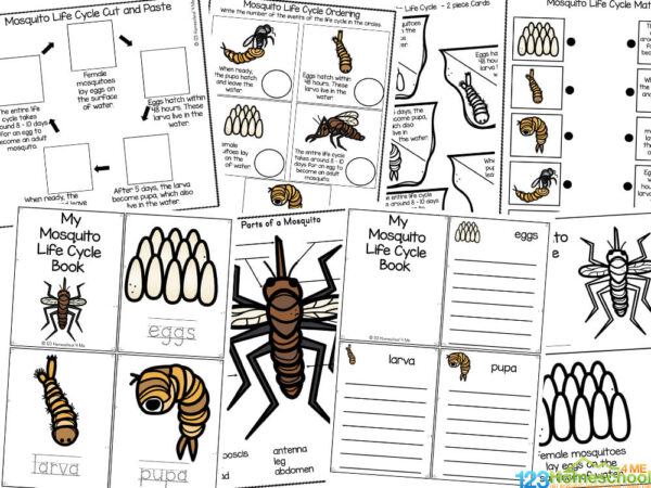 🦟 FREE Printable Mosquito Life Cycle Worksheets for Kids