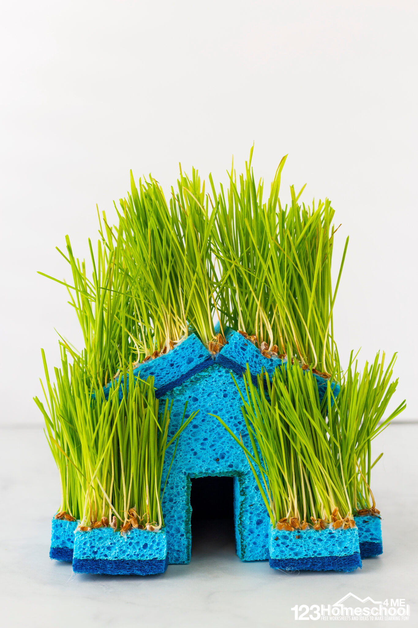 EASY Grass House - Plant Activity for Kids