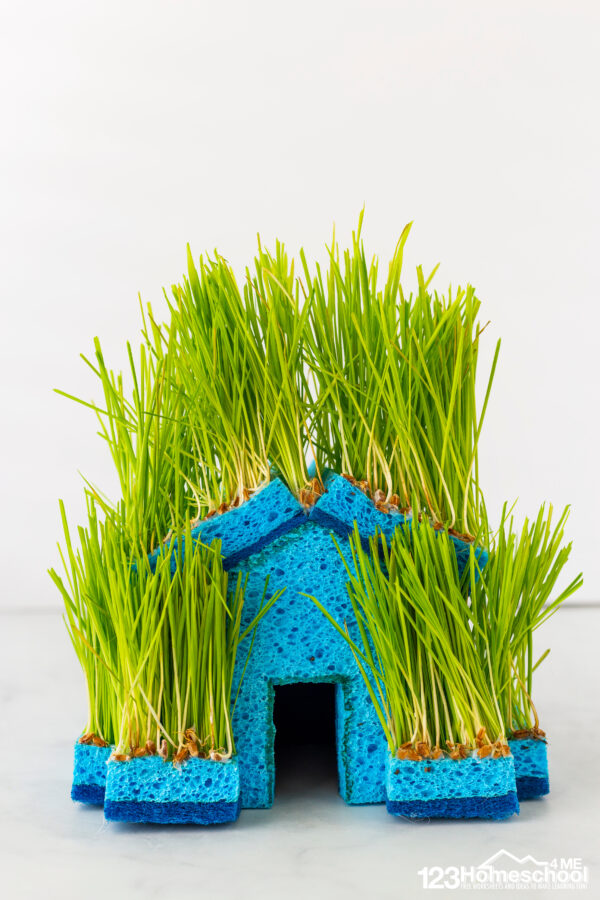 EASY Grass House - Plant Activity for Kids