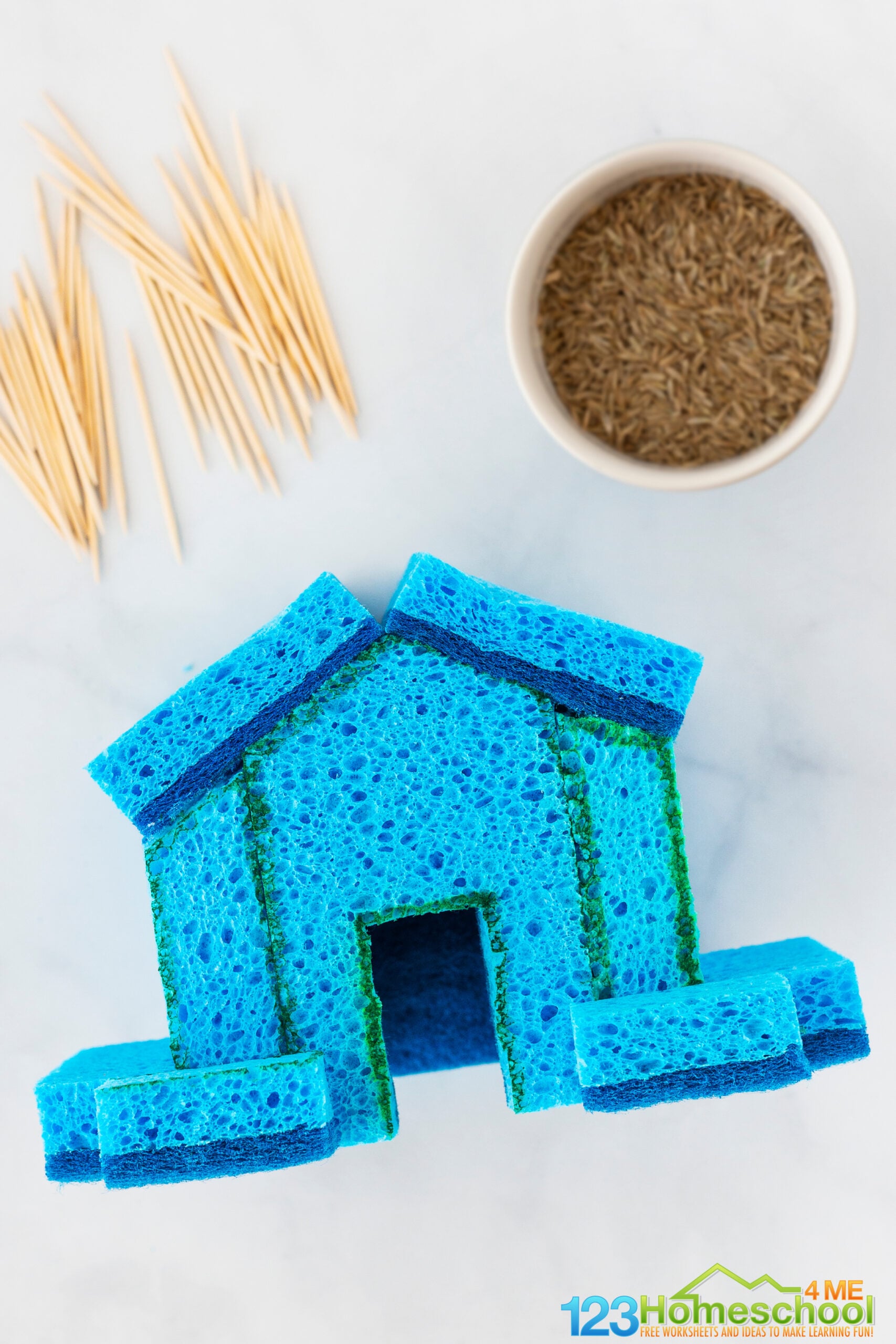 EASY Grass House - Plant Activity for Kids