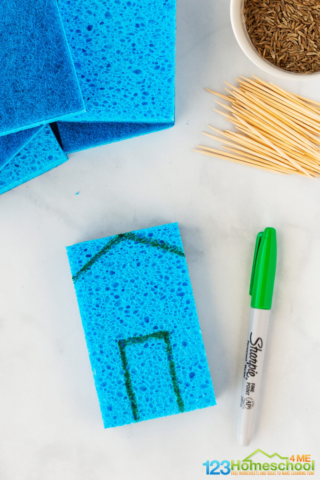 EASY Grass House - Plant Activity for Kids