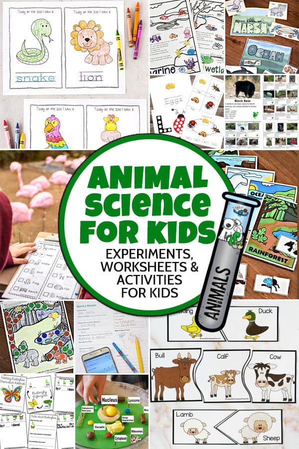 🐘🦜🦍Animal Science for kids - Worksheets, Experiments, & Activities