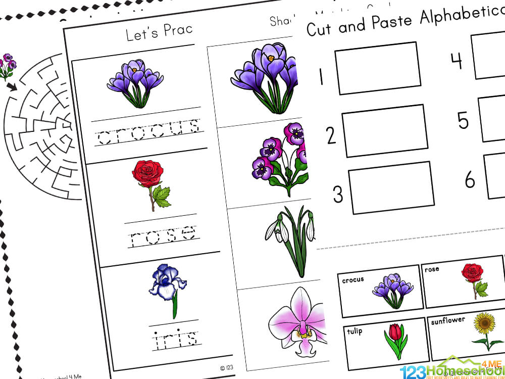 🌻 FREE Printable Flower Worksheets for Kids