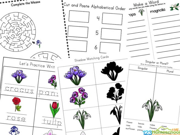 🌻 FREE Printable Flower Worksheets for Kids