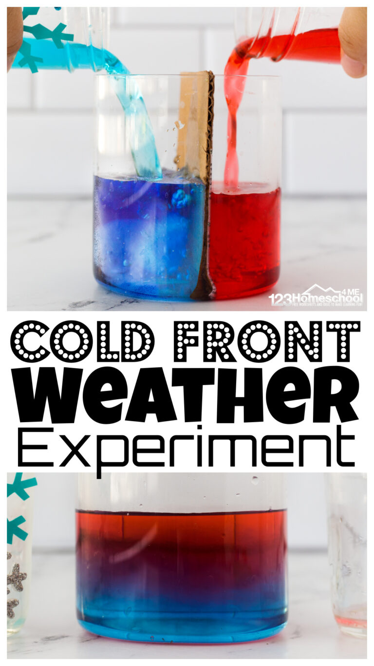 FREE Weather Printables