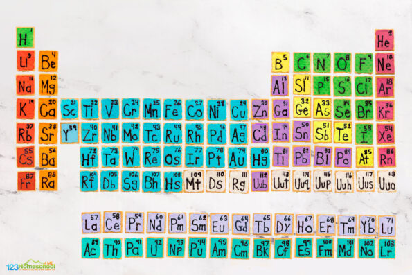 Making Your Own Edible Science Periodic Table of Elements Activity