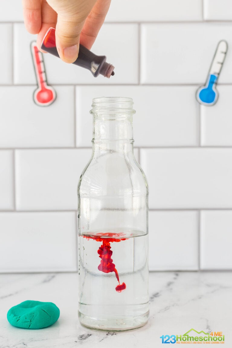 🌡 DIY Homemade Thermometer Science Experiment for Kids