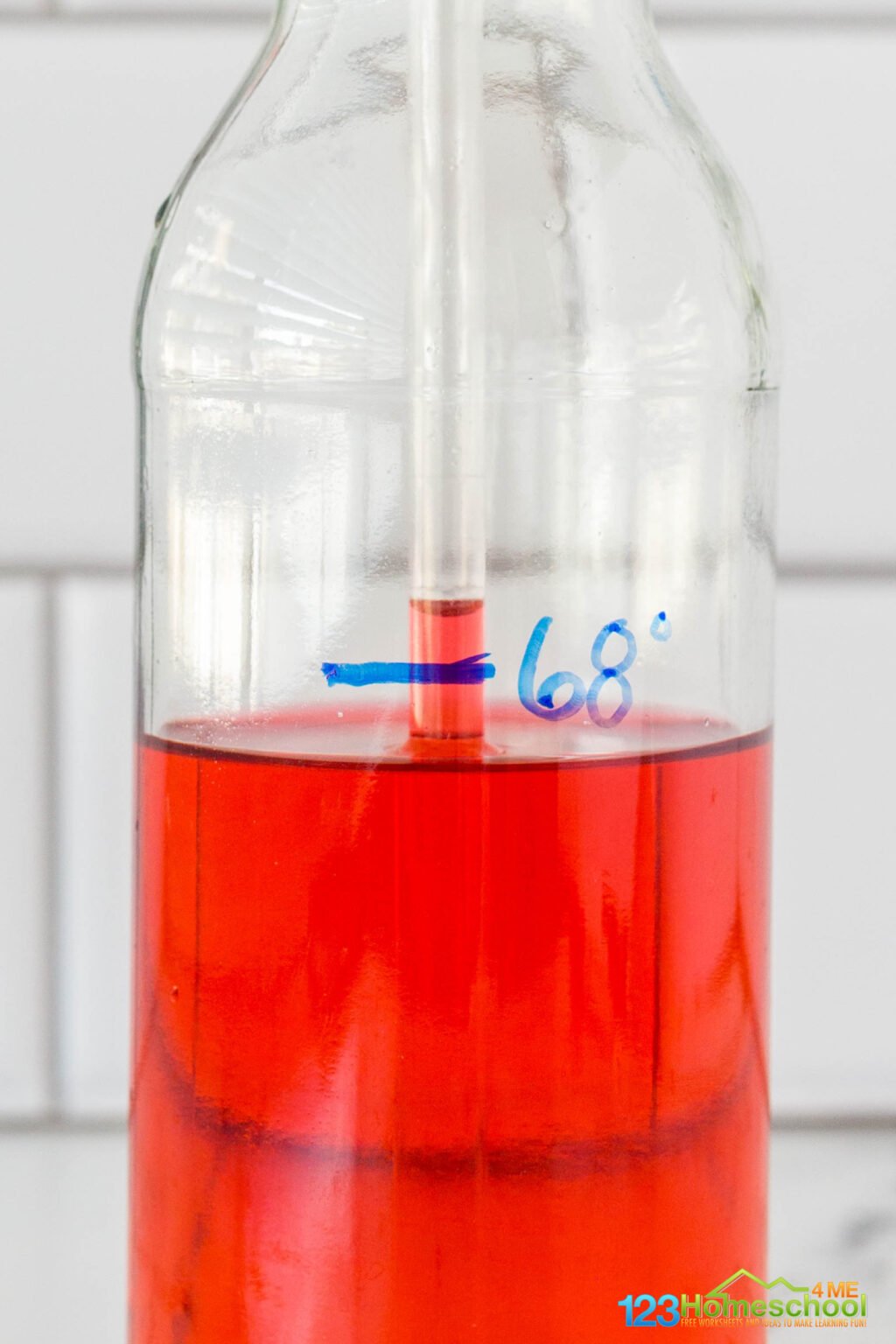 🌡 DIY Homemade Thermometer Science Experiment for Kids