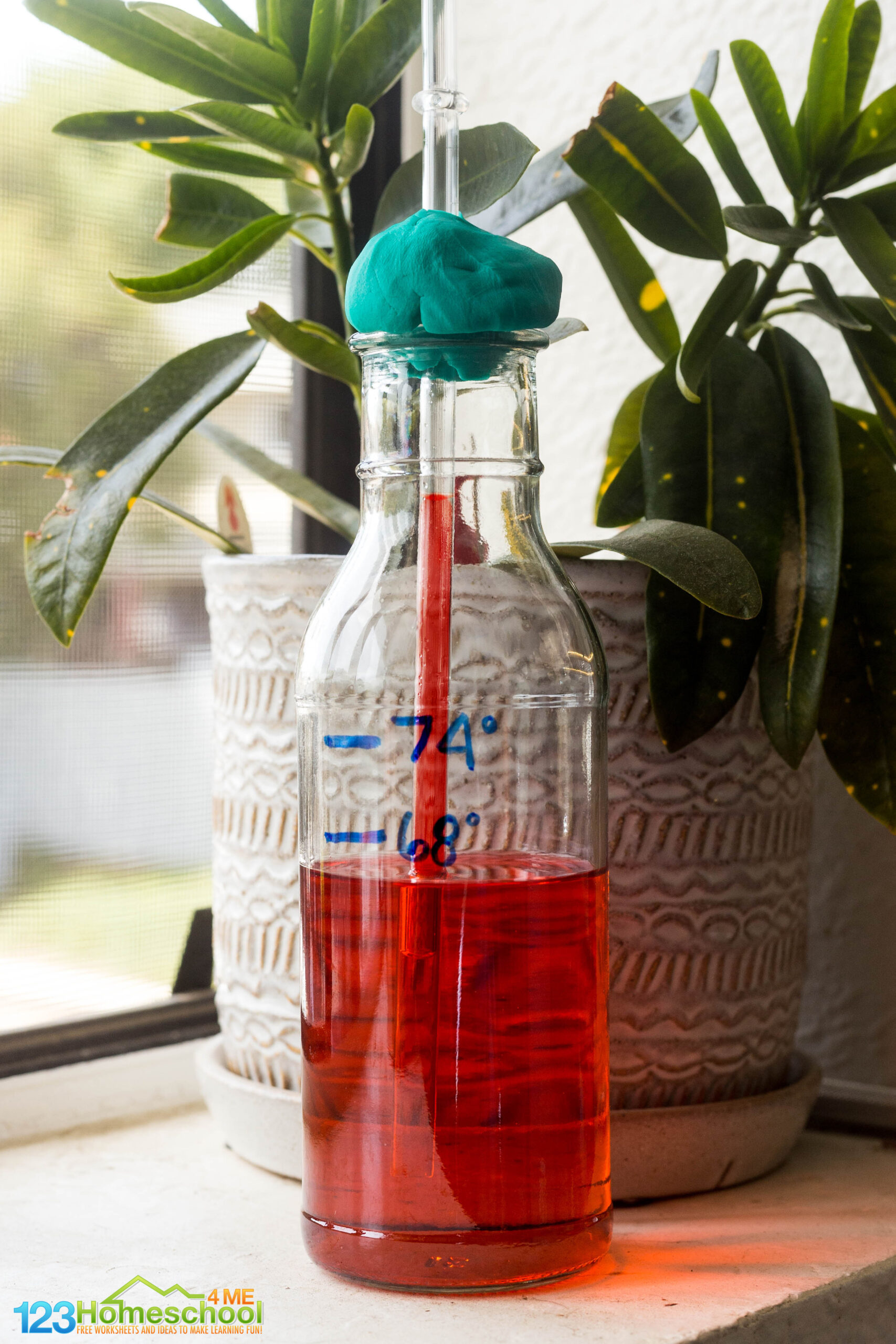 🌡 DIY Homemade Thermometer Science Experiment for Kids