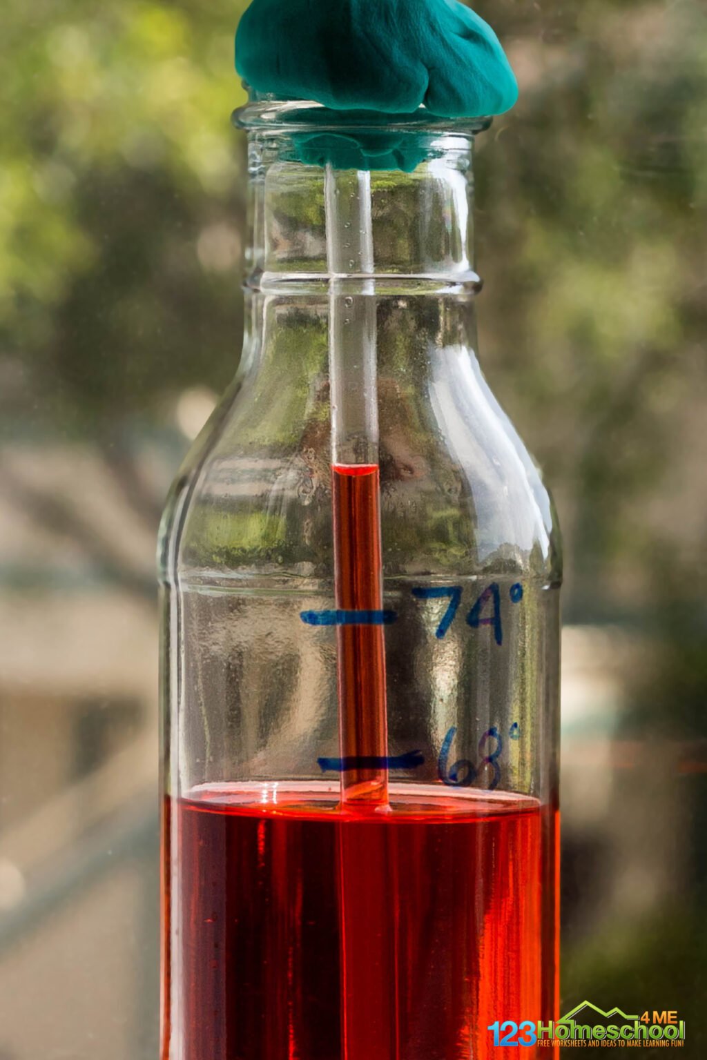 Science Experiments Archives - 123 Homeschool 4 Me