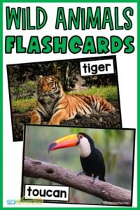 🐯 FREE Printable Wild Animal Flashcards with Real Pictures