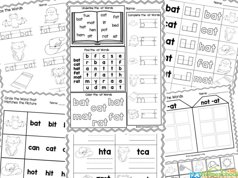 FREE Printable at Word Family Worksheets