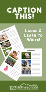 Caption This! FREE Printable Picture Creative Writing Prompts