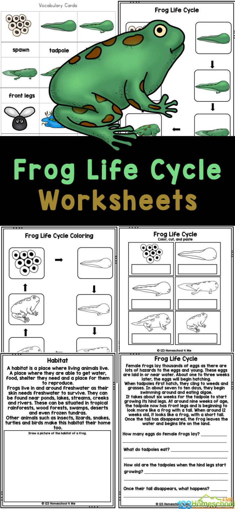 🐸 FREE Frog Life Cycle Worksheets for Kids