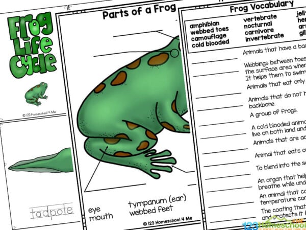 🐸 FREE Frog Life Cycle Worksheets for Kids