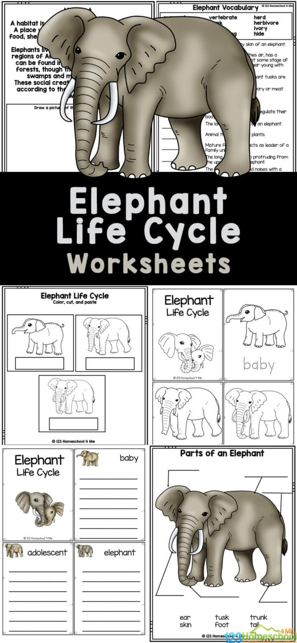 FREE Hummingbird Life Cycle Worksheets for Kids