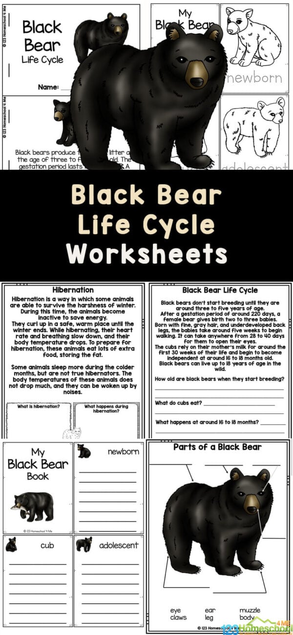 FREE Printable Dog Life Cycle Worksheets for Elementary Students