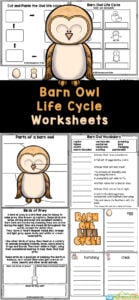 FREE Printable Life Cycle of a Worm Worksheets for Kids