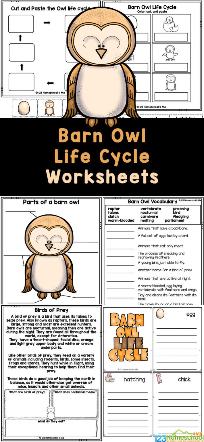 FREE Printable Dog Life Cycle Worksheets for Elementary Students