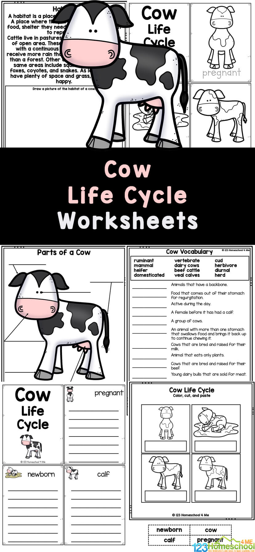 🐄 FREE Printable Life Cycle of a Cow Worksheets for Kids
