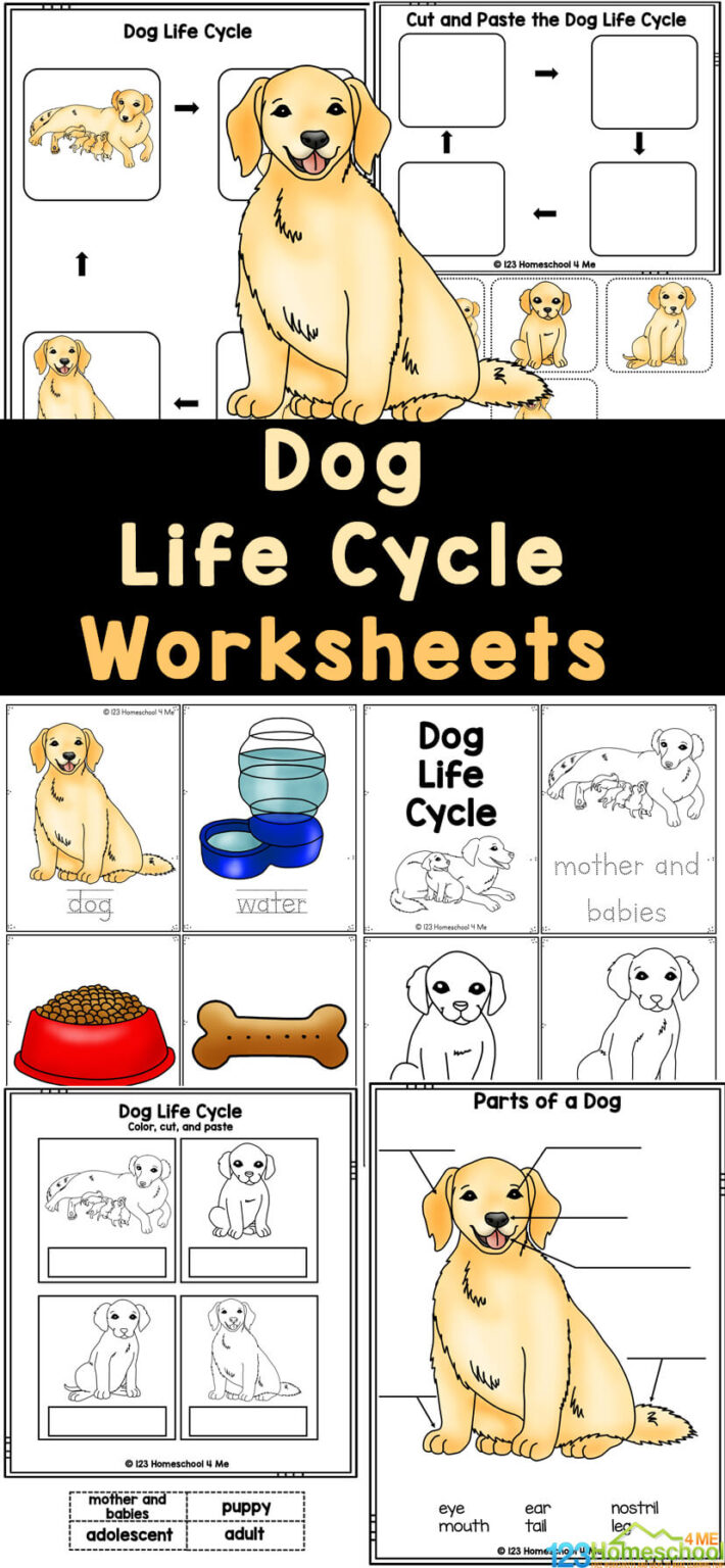 FREE Printable Dog Life Cycle Worksheets for Elementary Students