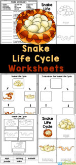 FREE Printable Snake Life Cycle Worksheets for Elementary Students